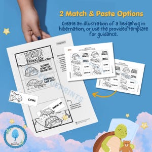 Turtle Brumation Foldable Activity | How Reptiles Hibernate ...
