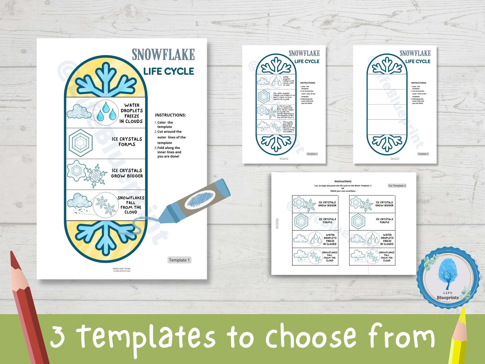 SNOW Life Cycle | Christmas | Snow Unit Study | Montessori Learning ...