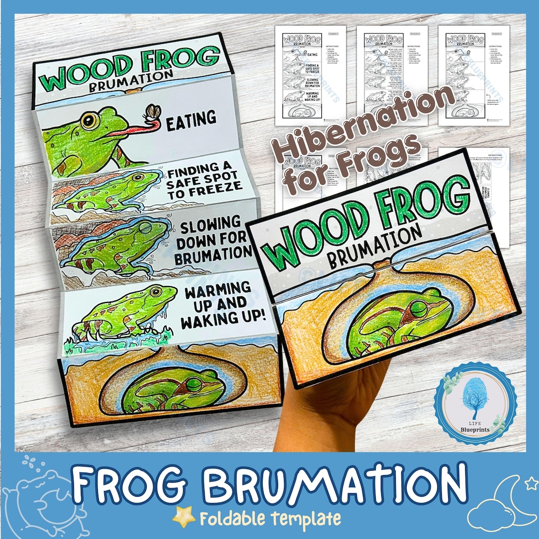 Frog Brumation | Hibernation Foldable Activity | Reptiles Hibernation ...