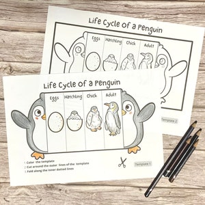 Foldable Penguin Life Cycle Learning Activity for Kids A4 and 11x8.5 ...