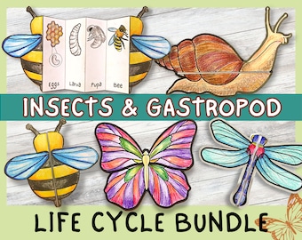 Foldable Duck Life Cycle Learning Activity for Kids A4 and 11x8.5 Inch ...