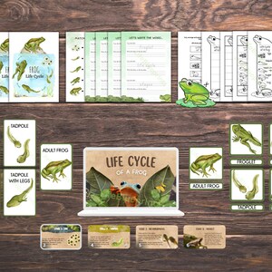 Frog Life Cycle Unit Study Poster, Flashcards, Lesson Plan Nature Study ...