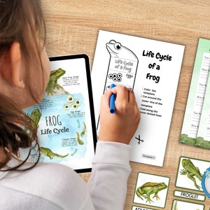 Frog Life Cycle Unit Study | Poster, Flashcards, Lesson Plan | Nature ...