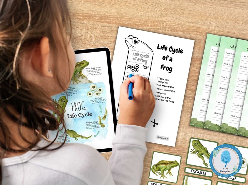 Frog Life Cycle Unit Study Poster, Flashcards, Lesson Plan Nature Study ...