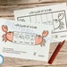 Crab Life Cycle Learning Activity for Kids A4 and 11x8.5 Inch Digital ...