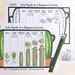 Cactus Life Cycle Learning Activity for Kids A4 and 11x8.5 - Etsy