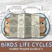 Bird Life Cycle Bundle of 6 Templates | Duck, Chicken, Penguin, Parrot ...