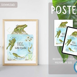 Frog Life Cycle Unit Study | Poster, Flashcards, Lesson Plan | Nature ...