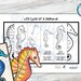 Foldable Seahorse Life Cycle Learning Activity for Kids Marine Life ...