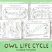 Foldable Owl Life Cycle Learning Activity for Kids | Perfect Halloween ...