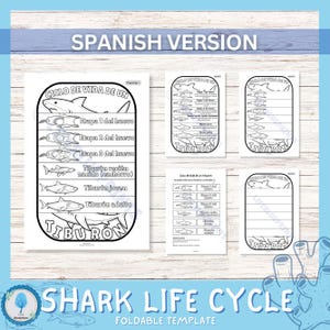 SPANISH Life Cycle of a Shark Science Activity for Kids | Foldable ...