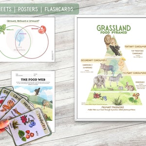 Grassland Food Chains Unit Study | Snow Globe | Food Web Printable | A4 ...