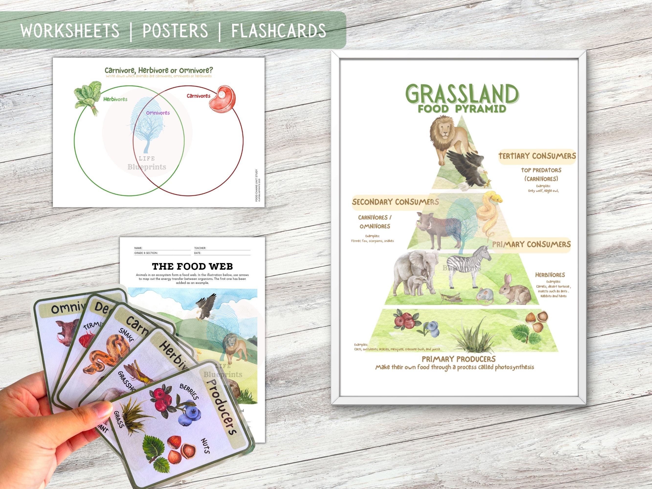 Grassland Food Chains Unit Study Snow Globe Food Web Printable A4 ...