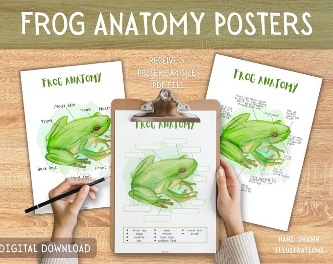 Frog Anatomy Poster - Educational Pond Printable - Etsy Canada