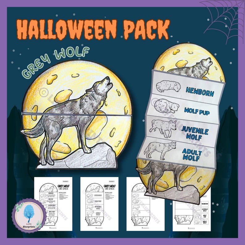 Halloween Life Cycle Pack | Grey Wolf, Bat, Pumpkin, Owl, Spider ...