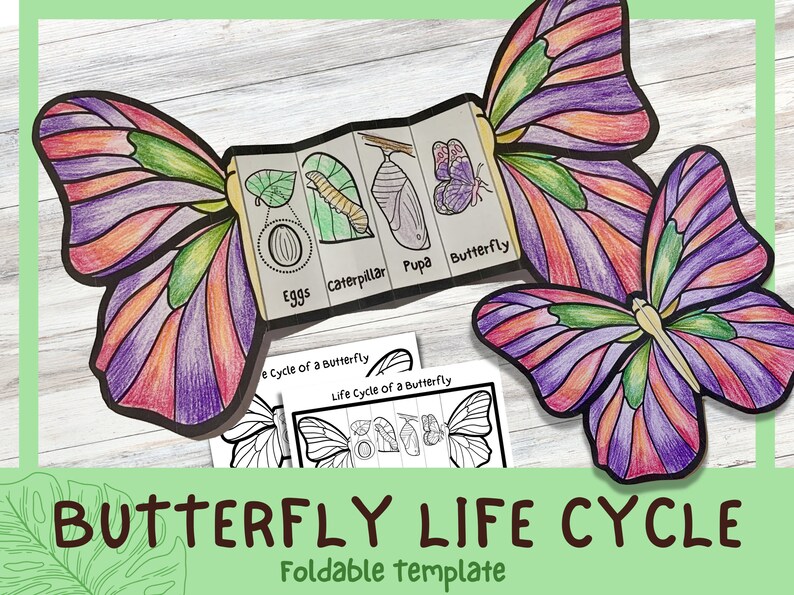Foldable Butterfly Life Cycle Learning Activity for Kids A4 - Etsy