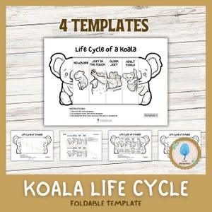 Koala Life Cycle Science Activity for Kids | Foldable Craft | Koala Study | Australian Animal ...