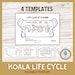 Koala Life Cycle Science Activity for Kids | Foldable Craft | Koala ...