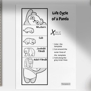 Panda Life Cycle Learning Activity for Kids | Foldable | A4 and 11x8.5 ...