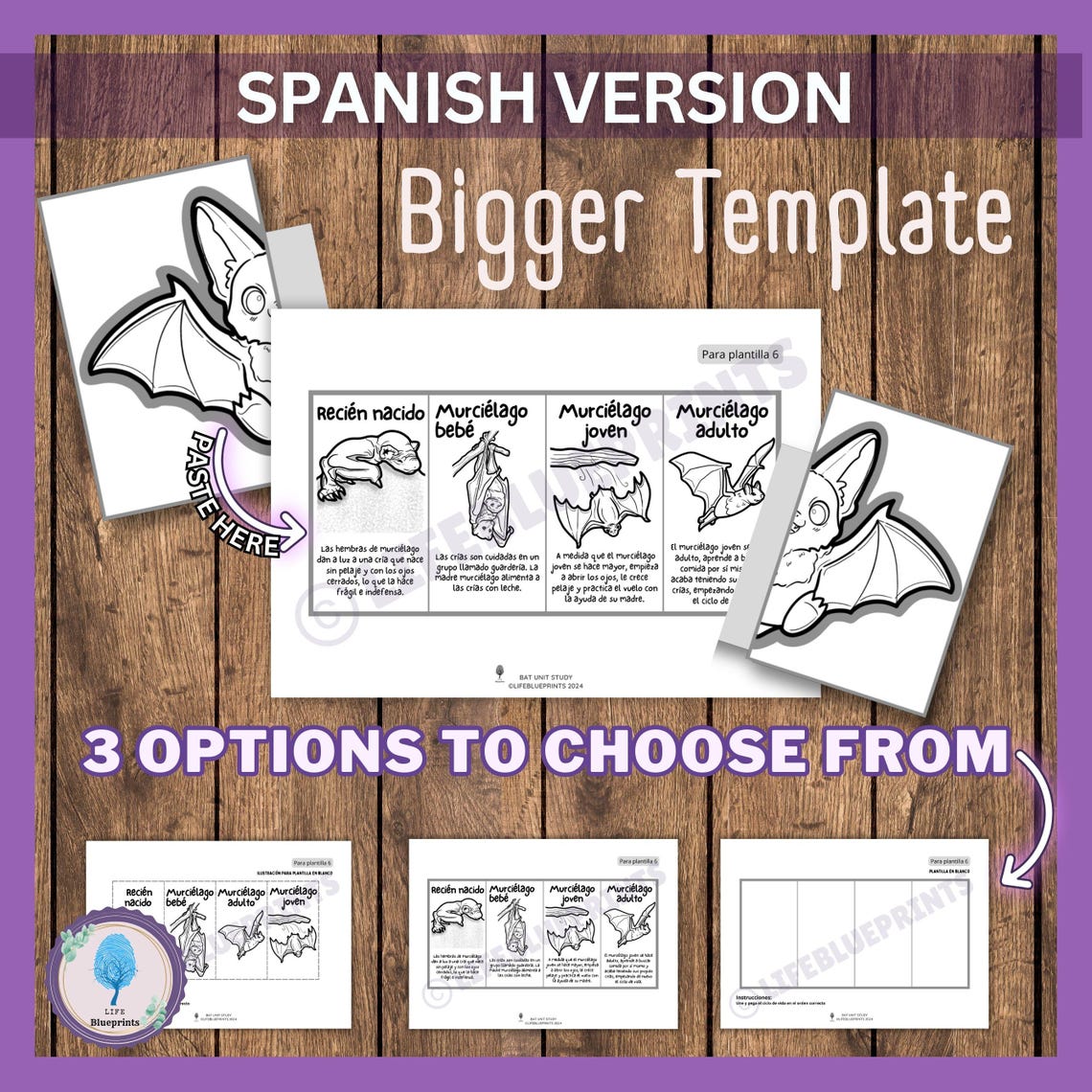 SPANISH Life Cycle of a Bat Science Activity for Kids | Foldable Craft ...