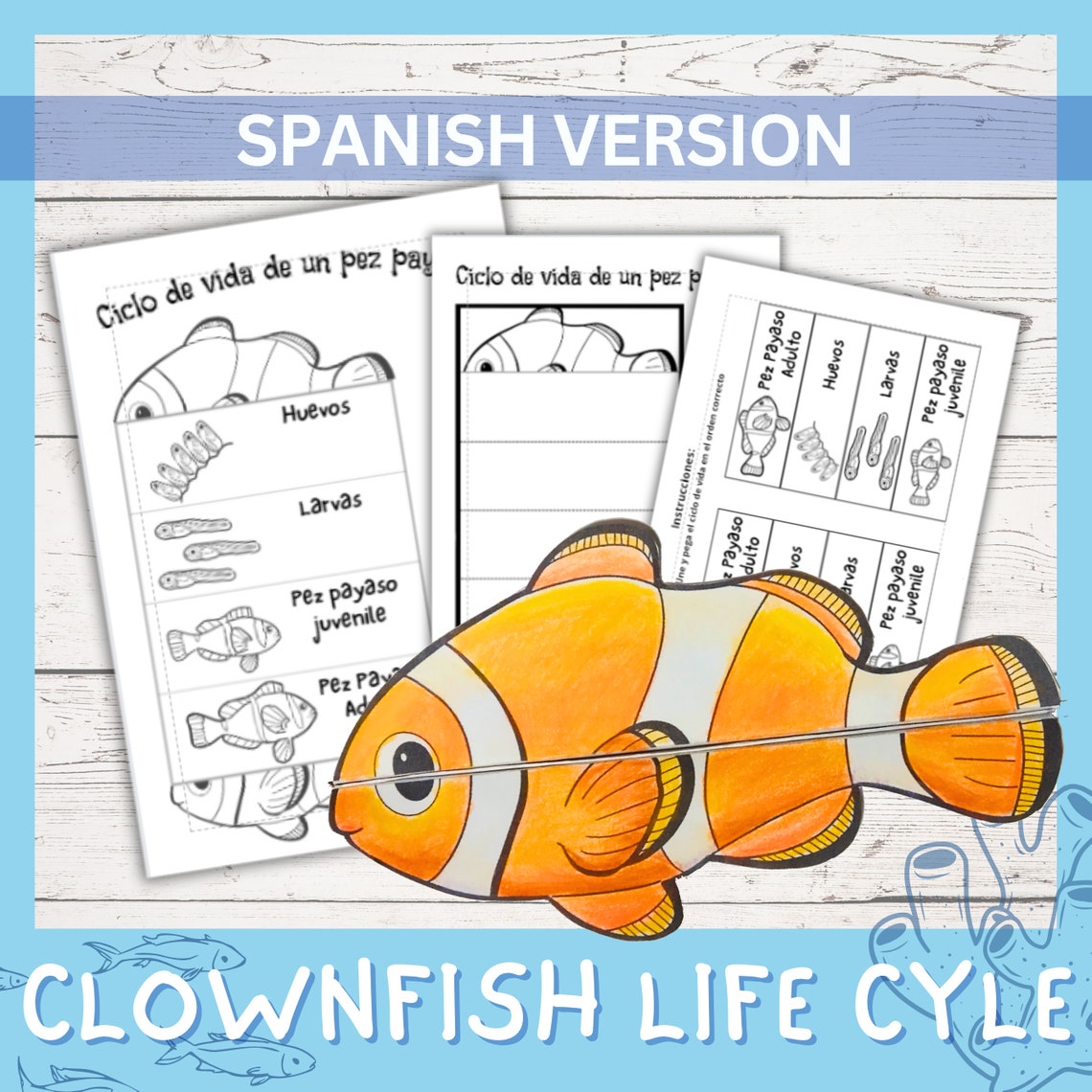 SPANISH Clownfish Life Cycle Learning Activity for Kids | Digital ...