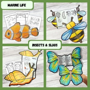 SPANISH Foldable Life Cycle Bundle of 20 Templates Discounts With ...