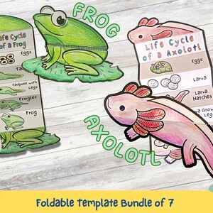 POND BIOME Life Cycle Bundle of 7 Templates Discounts With Bundle ...