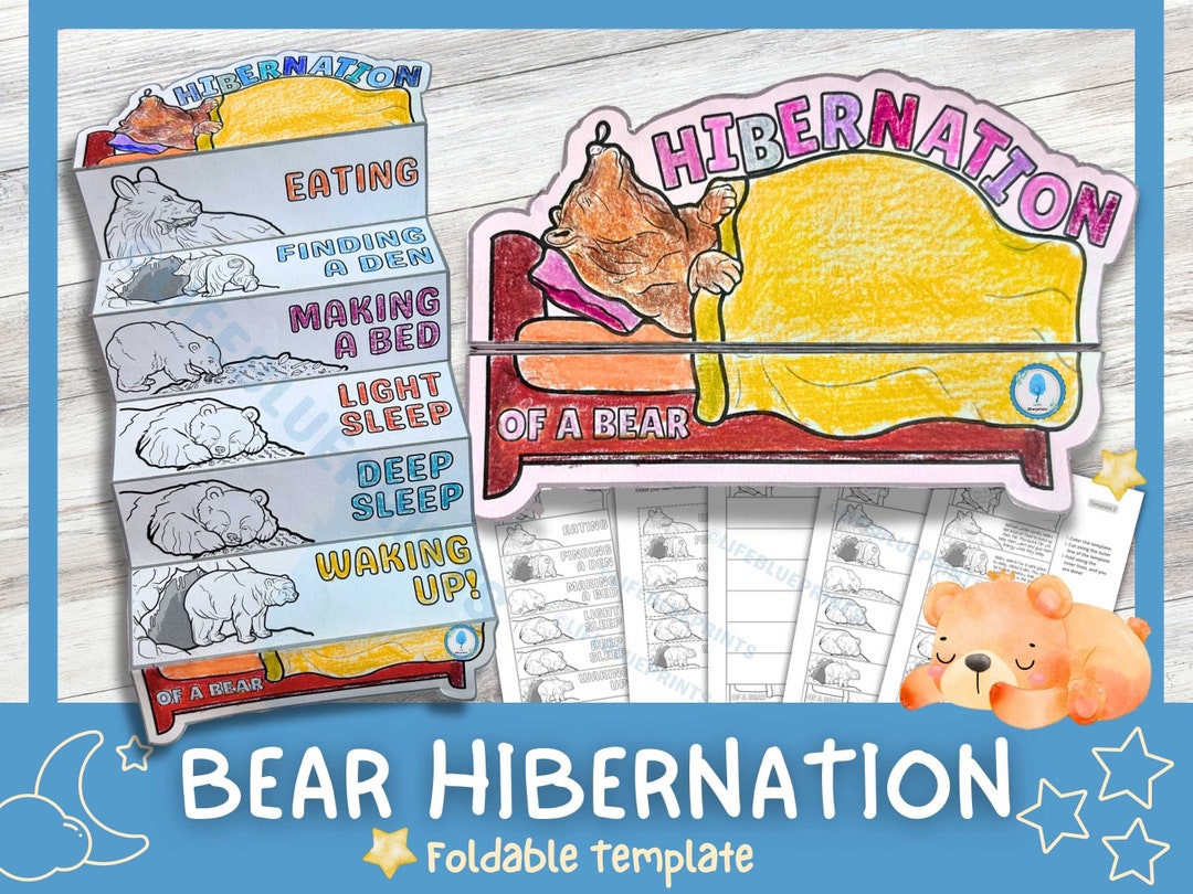 Bear Hibernation Foldable Activity | Montessori Classroom | Digital ...