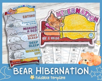 Foldable Pumpkin Life Cycle Learning Activity for Kids Halloween Nature ...