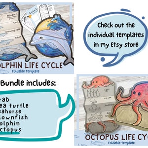 Marine Life Cycle Bundle of 6 Templates | Ocean | Discounts With Bundle ...