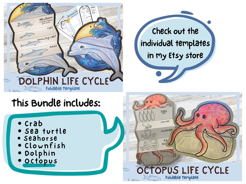 Marine Life Cycle Bundle of 6 Templates Ocean Discounts With Bundle ...