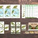 Frog Life Cycle Poster, Flashcards, Lesson Slides Nature Study, Science ...