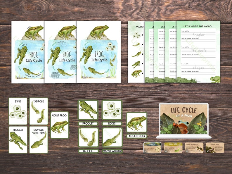 Frog Life Cycle Poster, Flashcards, Lesson Slides Nature Study, Science ...