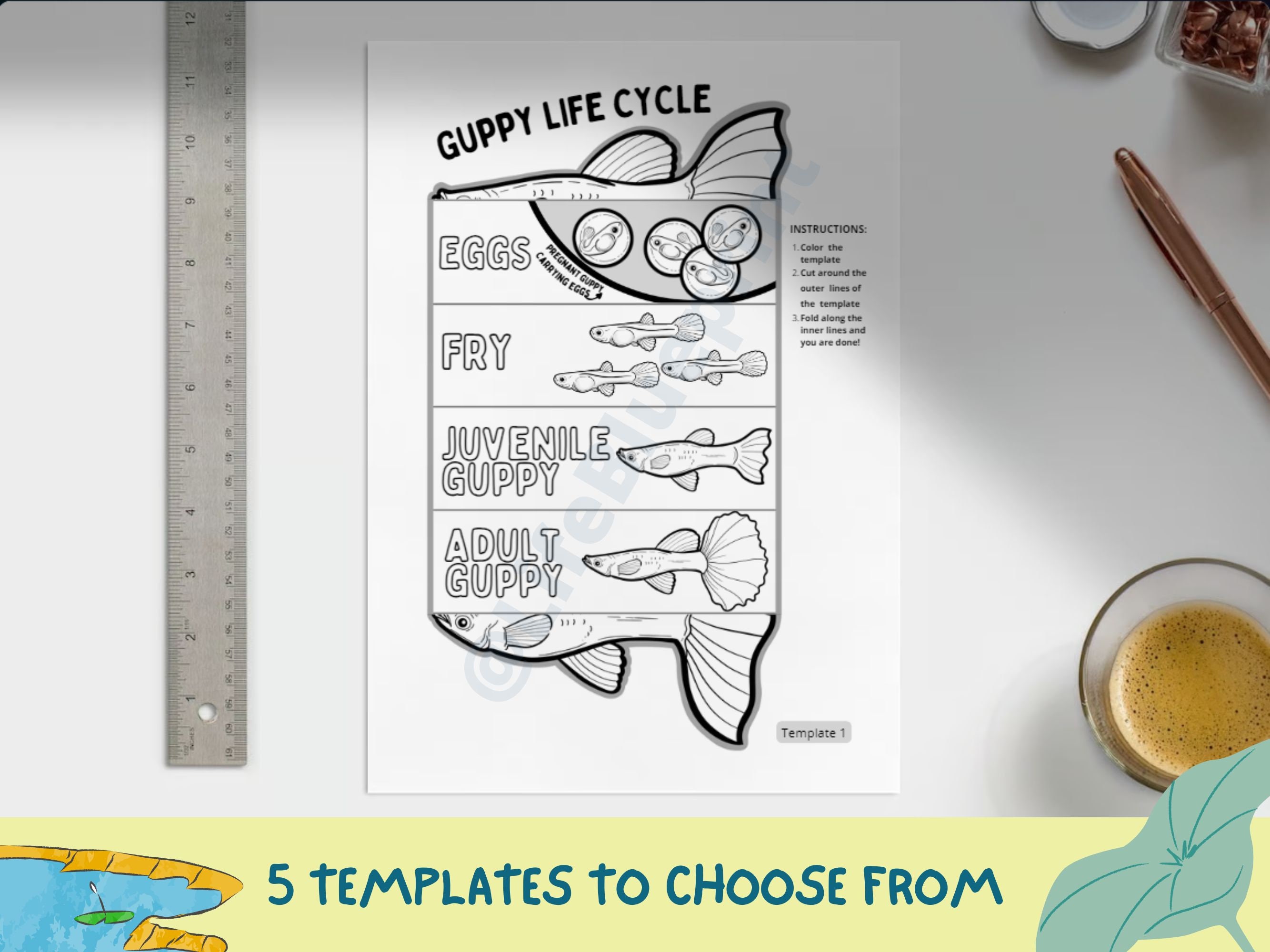 Foldable Guppy Fish Life Cycle Learning Activity for Kids A4 - Etsy