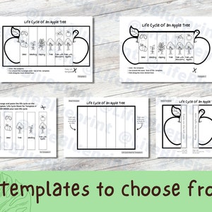 Foldable Apple Life Cycle Learning Activity for Kids A4 and 11x8.5 Inch ...