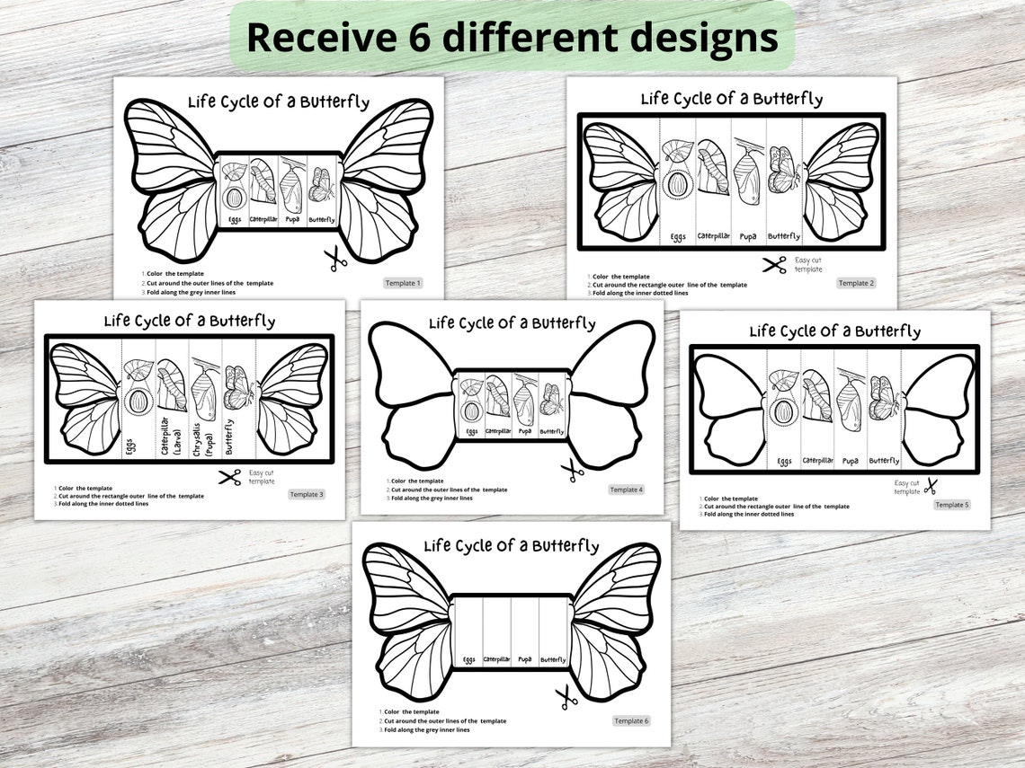 Foldable Butterfly Life Cycle Learning Activity for Kids A4 - Etsy