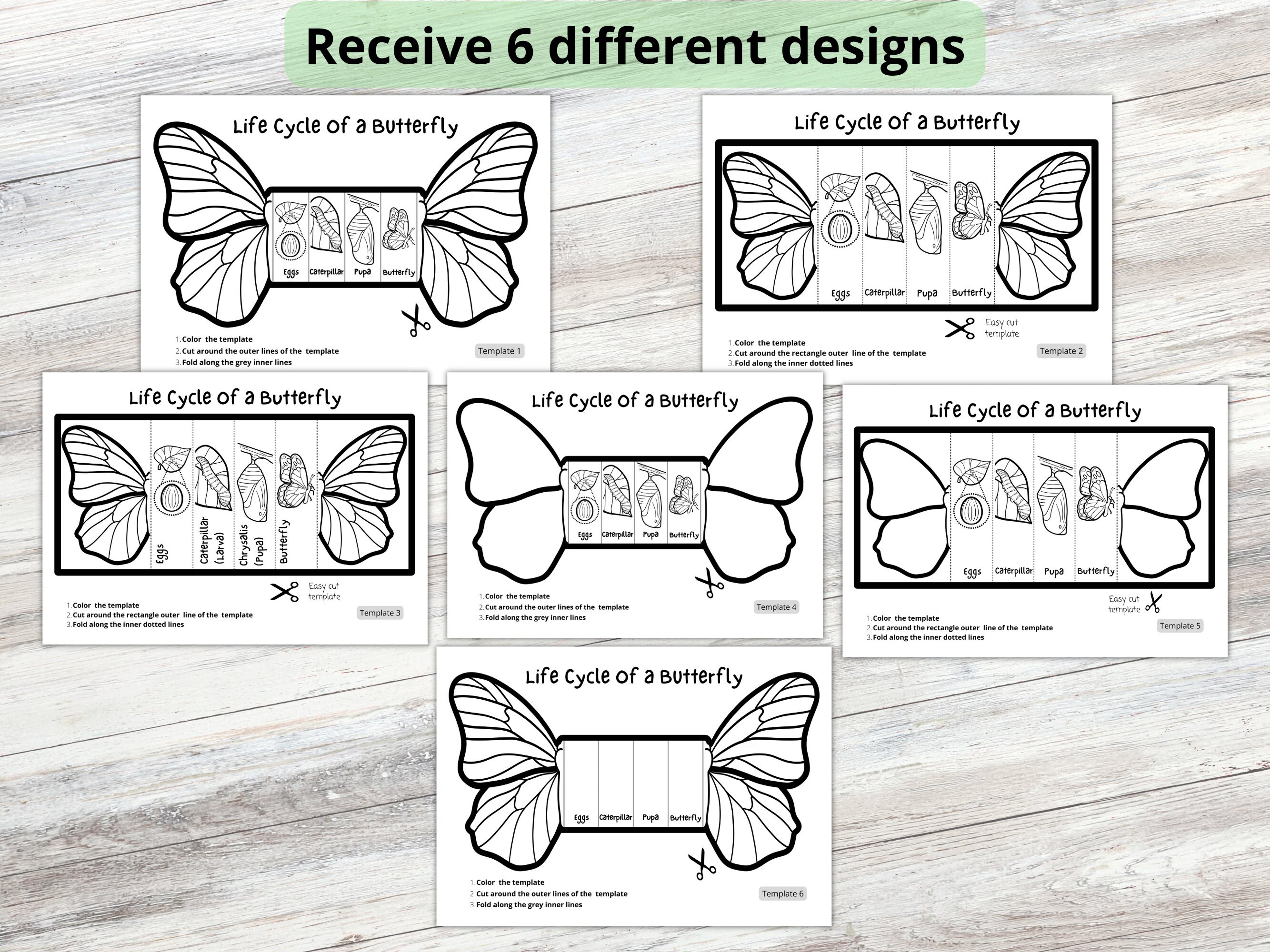 Foldable Butterfly Life Cycle Learning Activity for Kids A4 - Etsy Canada