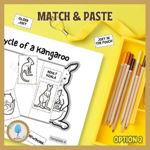 Kangaroo Life Cycle Activity for Kids | Foldable Craft | Australian ...
