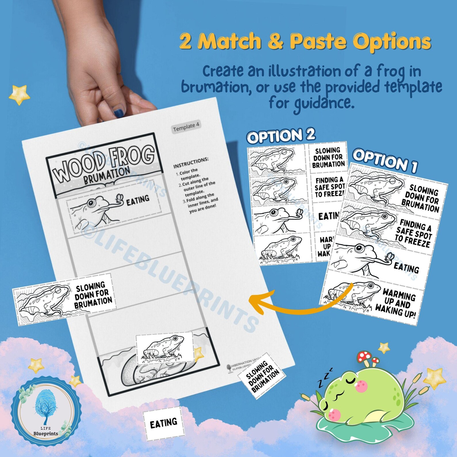 Frog Brumation | Hibernation Foldable Activity | Reptiles Hibernation ...