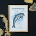Dolphin Anatomy Poster for Kids, Nature Study, Science, Montessori ...