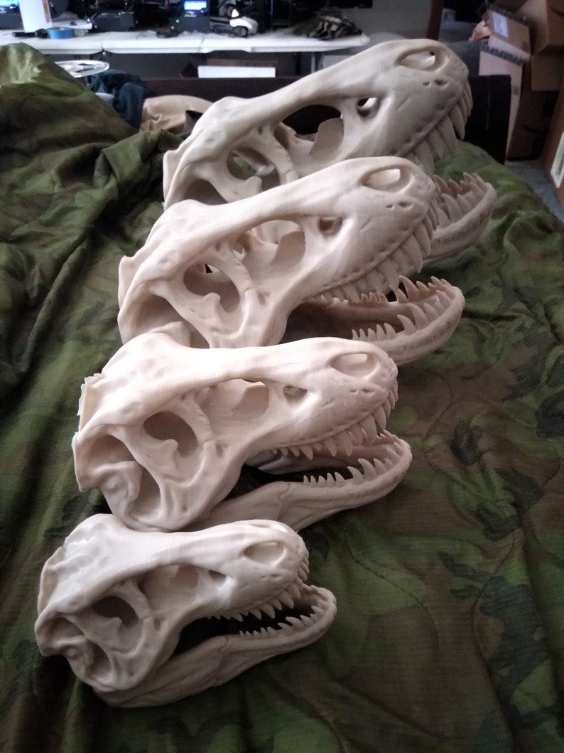 T Rex Skull Replicas - Etsy