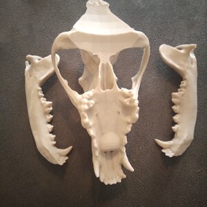 3D Printed Wolf Skull Headdress – Cosplay Bone Headpiece Prop - Etsy