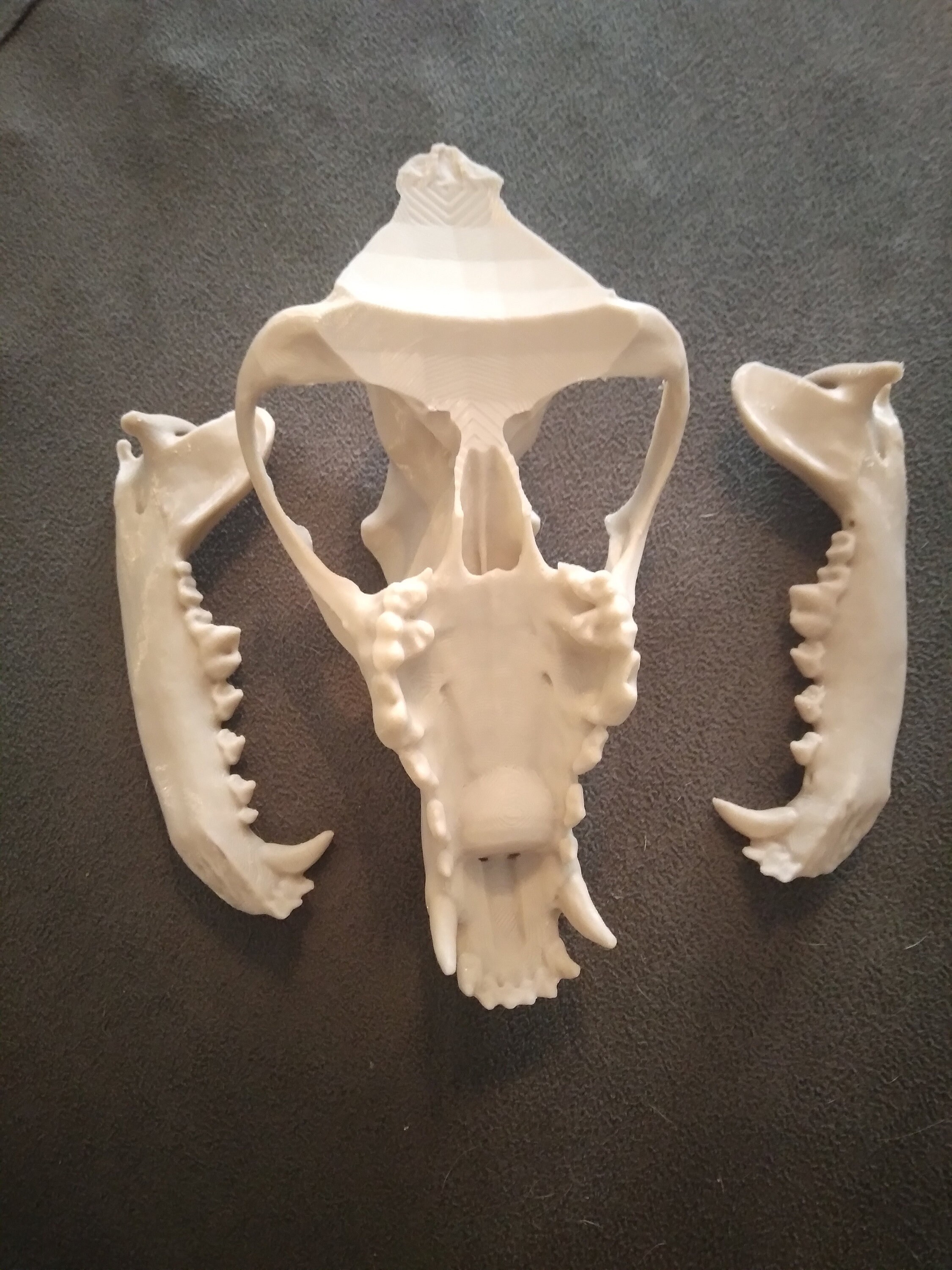 3D Printed Wolf Skull Headdress – Cosplay Bone Headpiece Prop - Etsy
