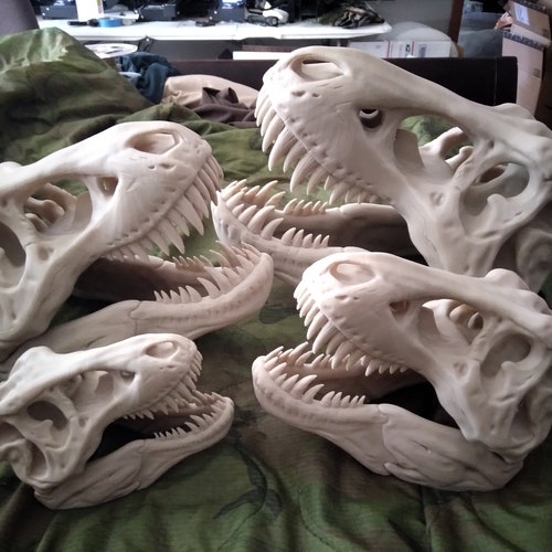 T Rex Skull Replicas - Etsy