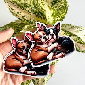 Boston Terrier Sticker, Brown and Black Boston Terrier Sticker - Etsy