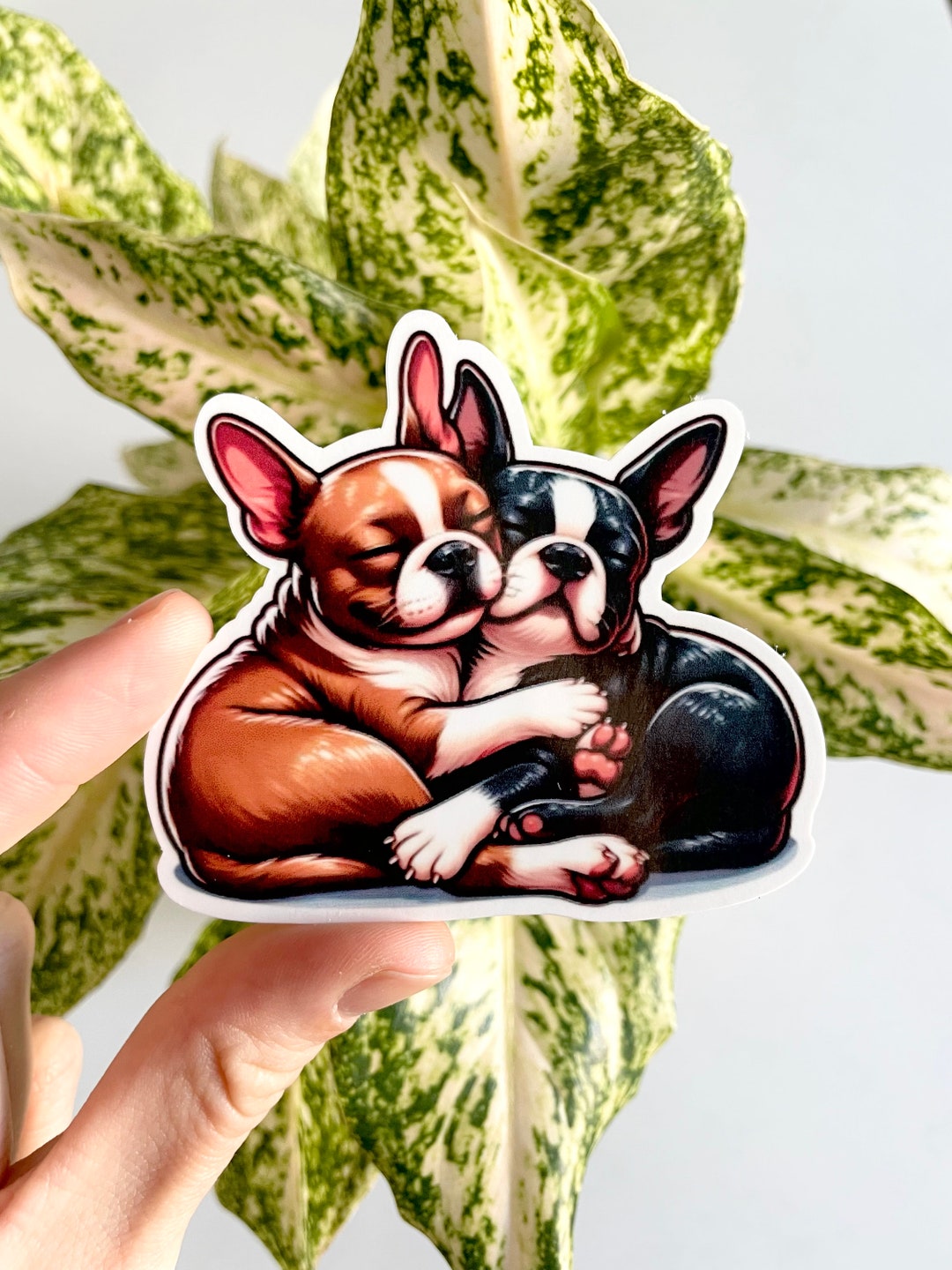 Boston Terrier Sticker, Brown and Black Boston Terrier Sticker - Etsy