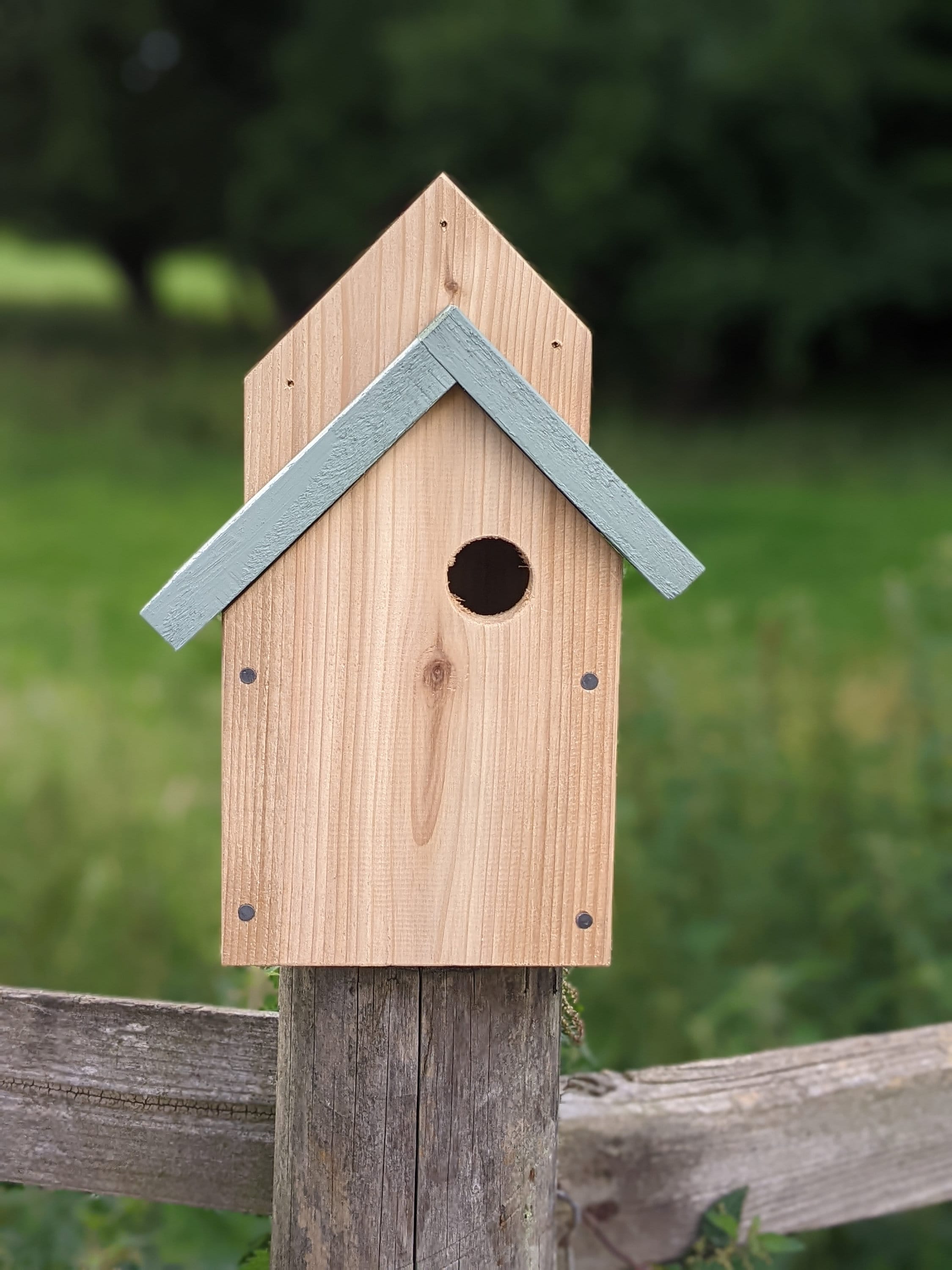 Cedar Bird Box - Etsy UK