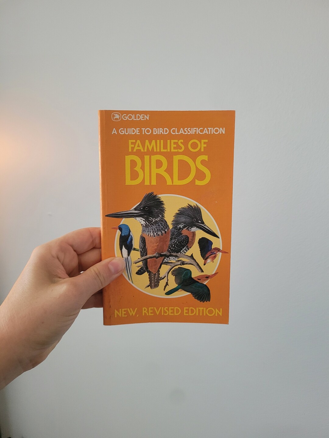 Vintage Golden Field Guide to Bird Classification Families of Birds, by ...