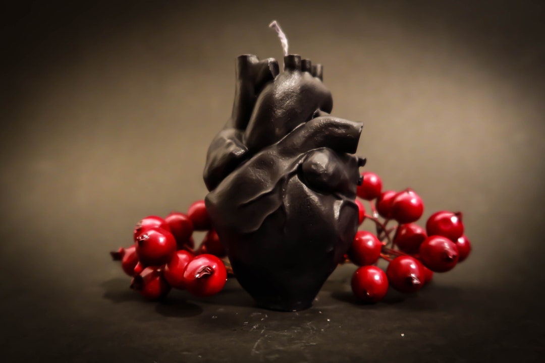 Heart Candle I Anatomical I Human Heart Candle I Body I Organ I Body ...