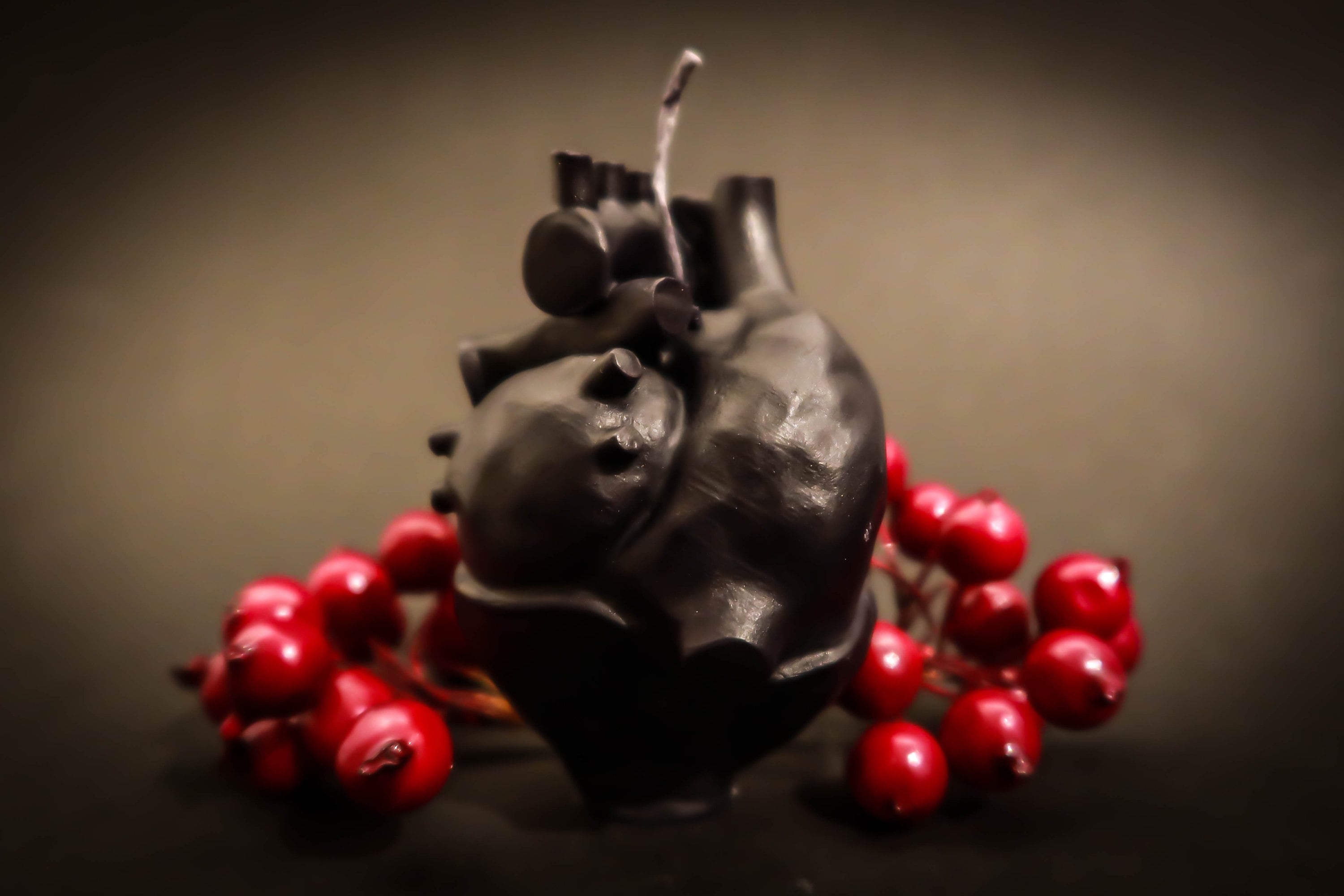 Heart Candle I Anatomical I Human Heart Candle I Body I Organ I Body ...